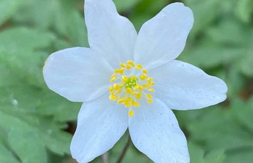 COUNSELLING in GUILDFORD / Qualified Counsellor